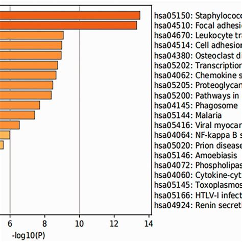 Pathway And Process Enrichment Analysis Bar Graph Of The Enriched Download Scientific Diagram