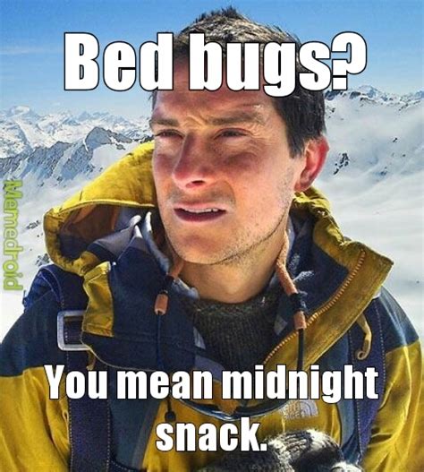Bed Bugs Meme By Megasheanster Memedroid