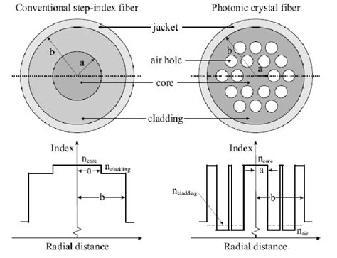 Schematic Illustrations Of The Fiber Cross Section Download Scientific Diagram