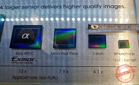 Digital Camera Sensor Size Chart Design Reviews