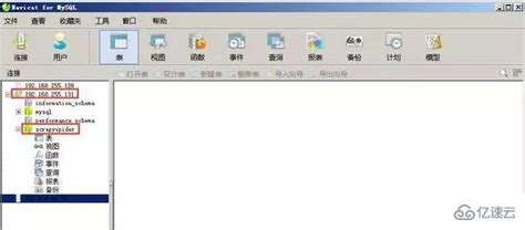 如何使用navicat创建数据库 数据库 亿速云