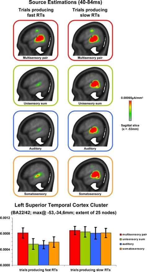 Source Estimations And Statistical Contrasts The Upper Panels Depict