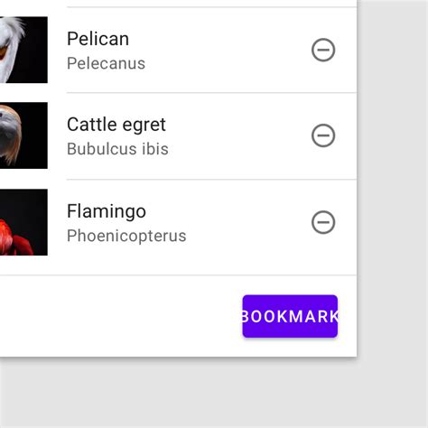 Material Design