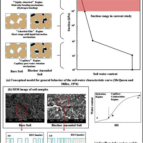The Pore Size Distribution Of Biochars Download Scientific Diagram