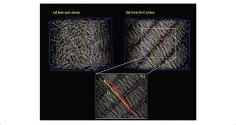 Characteristic Atomistic Snapshots From The Monte Carlo Simulations