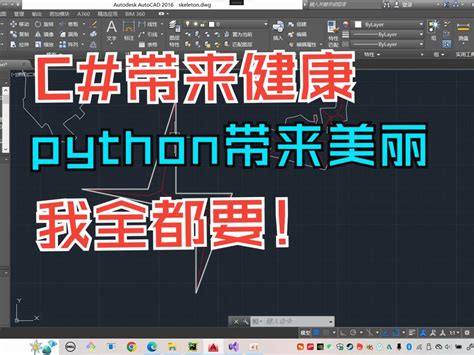 基于c的cad二次开发项目如何调用python的（机器学习算法）脚本 哔哩哔哩