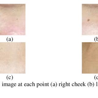 How To Crop Images In An Image Processing Application Download Scientific Diagram