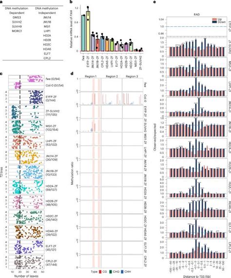 Eduardo Sanchez Bermejo On Linkedin A Gene Silencing Screen Uncovers Diverse Tools For Targeted