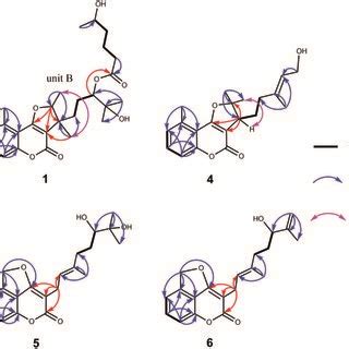 Selected D NMR Correlations Of And Download Scientific Diagram