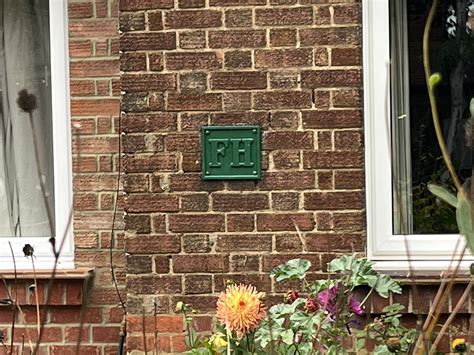 Ham Photos Green Fire Hydrant