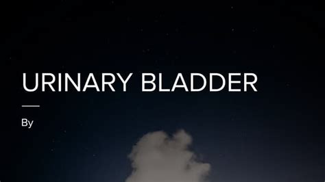 Urinary Bladder Anatomy Pptx