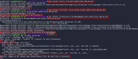 torch 安装成功后 导入报错 寒武纪软件开发平台 开发者论坛