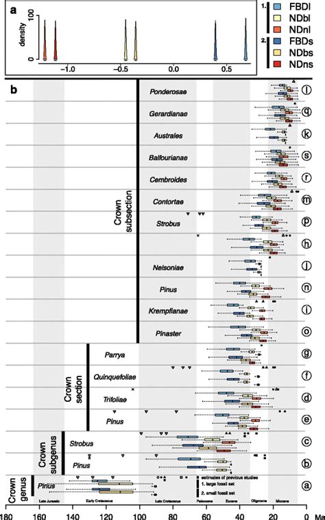 Comparison Of Estimated Node Ages Of The 19 Major Clades Of Pinus Download Scientific Diagram