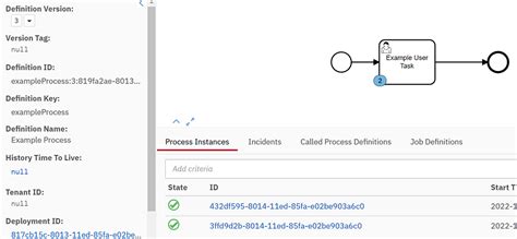 caused by org camunda bpm engine baduserrequestexception process