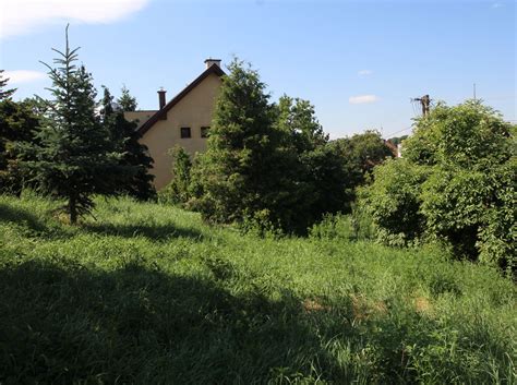 Chtelnica Jewish Cemetery Esjf Surveys