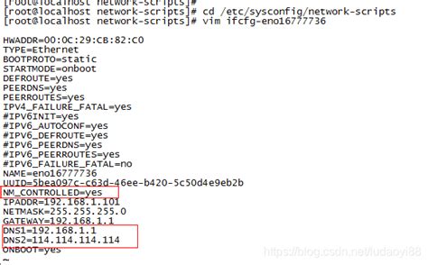 Centos7虚拟机网络与dns上网配置networkmanager 域名 Csdn博客