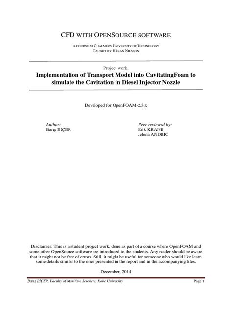 openfoam pdf nozzle fluid dynamics