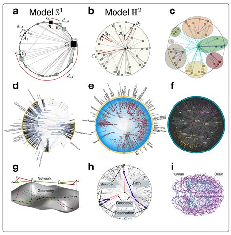 The Fractal Hyperbolic Geometry Of Networks Geometry Matters
