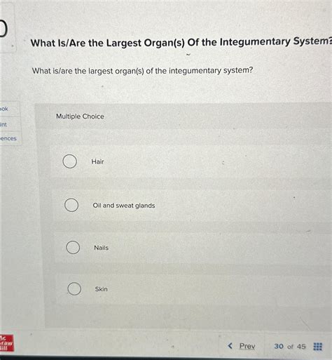 Solved What Isare The Largest Organs ﻿of The
