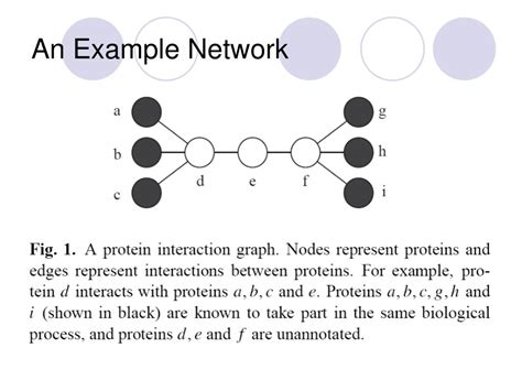 Ppt Whole Proteome Prediction Of Protein Function Via Graph Theoretic Analysis Of Interaction