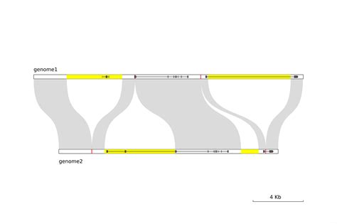一个用python编写的序列比对可视化工具 Linkviewlinkview2 Csdn博客