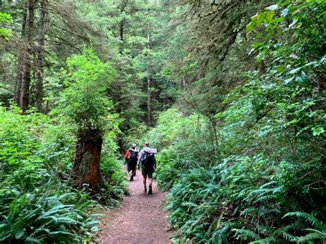 Oregon Coast Trail Backpacking And Thru Hiking Guide — Treeline Review