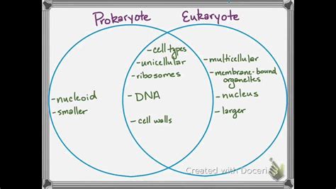 Exploring The Intersection Of Federalism Venn Diagram Insights