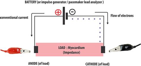 Cardiac Pacemaker And Electrophysiology Ecg Book