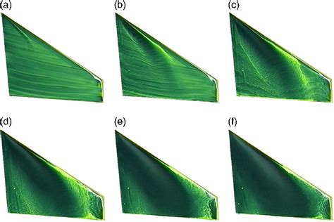 Colour Online Snapshots Of Instantaneous Flow Visualisation For The