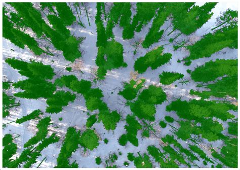 Background Extraction Download Scientific Diagram