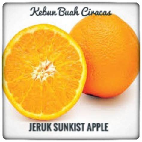 Jual Jeruk Sunkist Navel Per Kg Shopee Indonesia