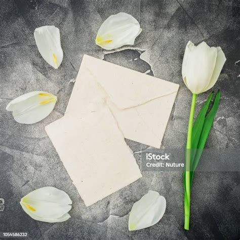 회색 배경에 흰색 튤립 꽃과 종이 봉투와 꽃 구성 평면 위치 최고 보기 0명에 대한 스톡 사진 및 기타 이미지 0명 2월