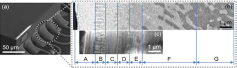 A A Scanning Electron Microscopy ~sem Image Of A Packaged Under Bump Download Scientific