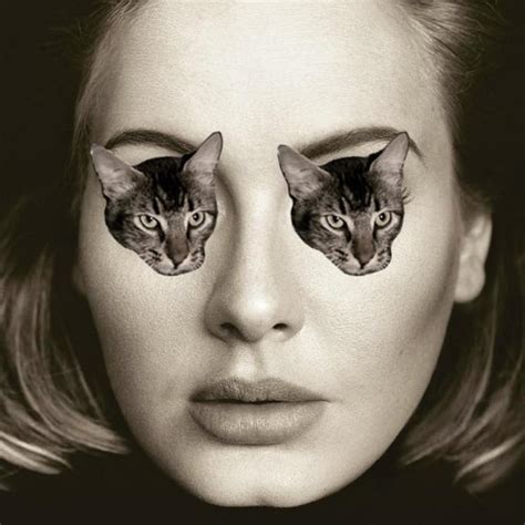 Adele Visits Vancouvers Cat Café Exclaim