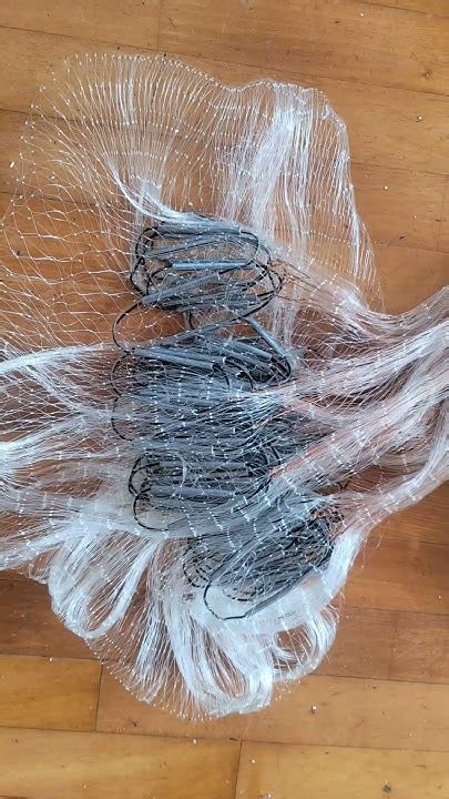 신형추비녀추같은 한양추투망 Youtube