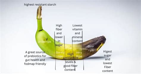 Three Types Of Bananas Fit Folic