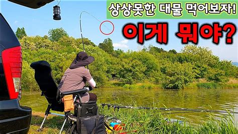 대물이다 주차하고 바로 즐기는 완벽한 포인트 상상도 못한 녀석이 나왔다 먹어보자 차박 낚시여행 Youtube