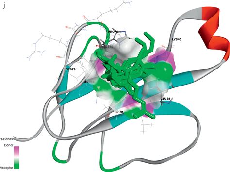 Pharmacoinformatic Approach To Explore The Antidote Potential Of