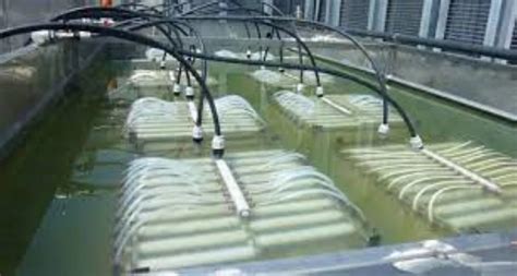 Membrane Bio Reactor At ₹ 500000 Membrane Bioreactors In Nagpur Id 2853053293688