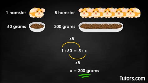 Ratio Examples In Real Life