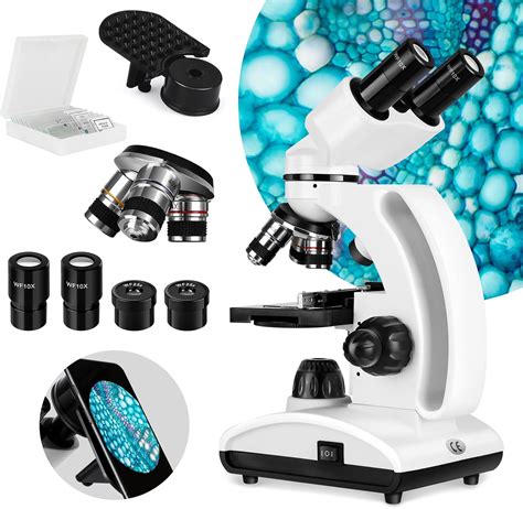 Compound Light Microscope