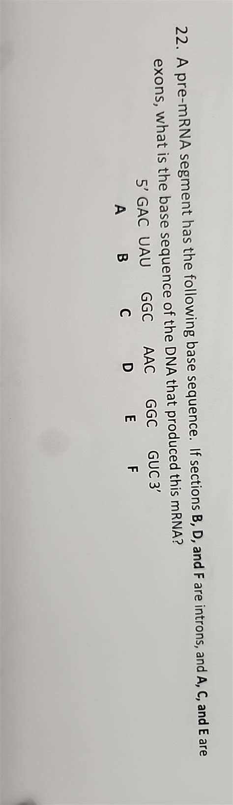 Solved A Pre Mrna Segment Has The Following Base Sequence