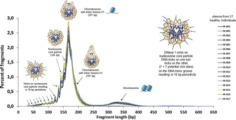 Circulating Dna Fragmentomics And Cancer Screening Cell Genomics