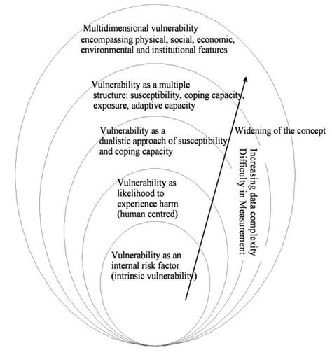 Key Spheres Of The Concept Of Vulnerability Download Scientific Diagram