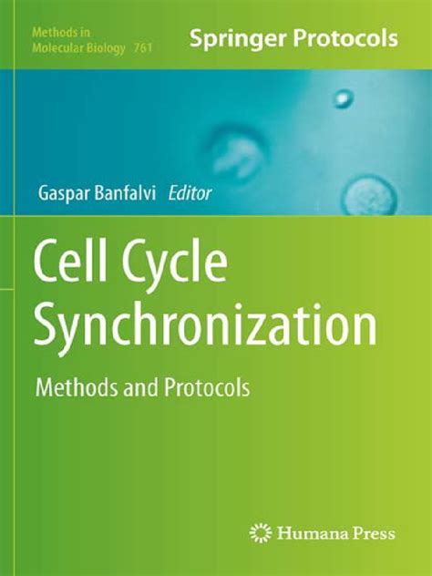 cell cycle synchronization methods and protocols gaspar banfalvi