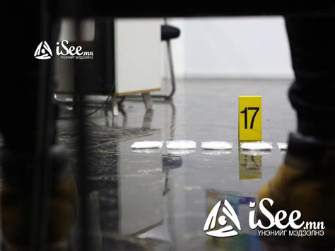 Хар тамхитай тэмцэх газраас 10 гэмт хэргийг илрүүлж мансууруулах үйлчилгээтэй ургамал 8 2 кг эд