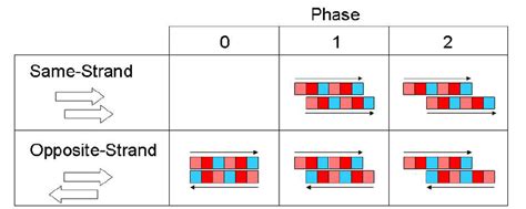3 Orientations And Phases Of Gene Overlap Genes Can Overlap On The
