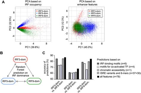 Analysis Of Irf Dominant Binding Regions By Principal Component