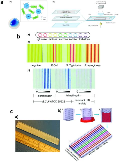 Applications Of Capillary Driven Flow Microfluidics For Tackling Download Scientific Diagram