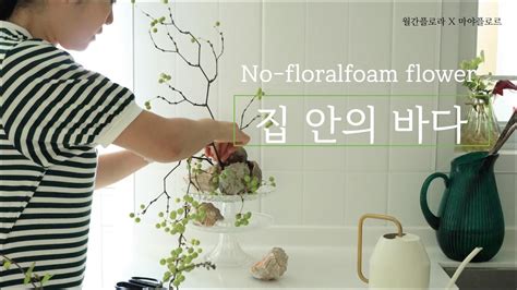 월간 플로라x마야플로르 2024년 8월호 에코 플라워 집 안의 바다 Youtube